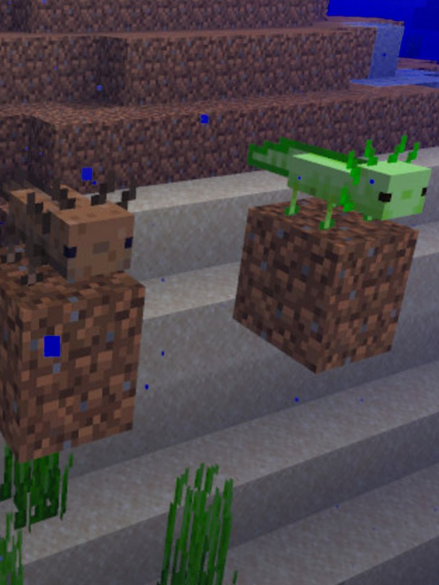 Top 5 underwater mobs in Minecraft - Sportskeeda Stories
