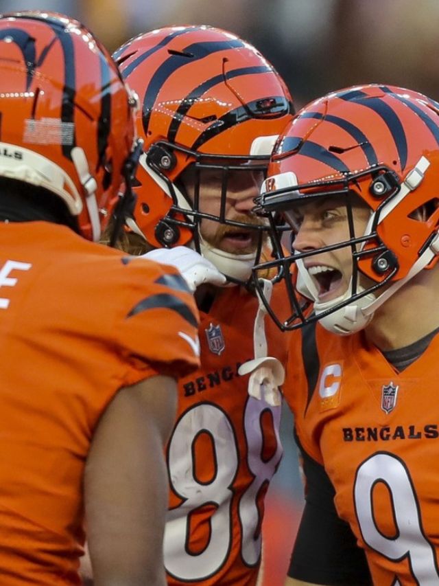 Top 7 Seasons in the History of Cincinnati Bengals - Sportskeeda Stories